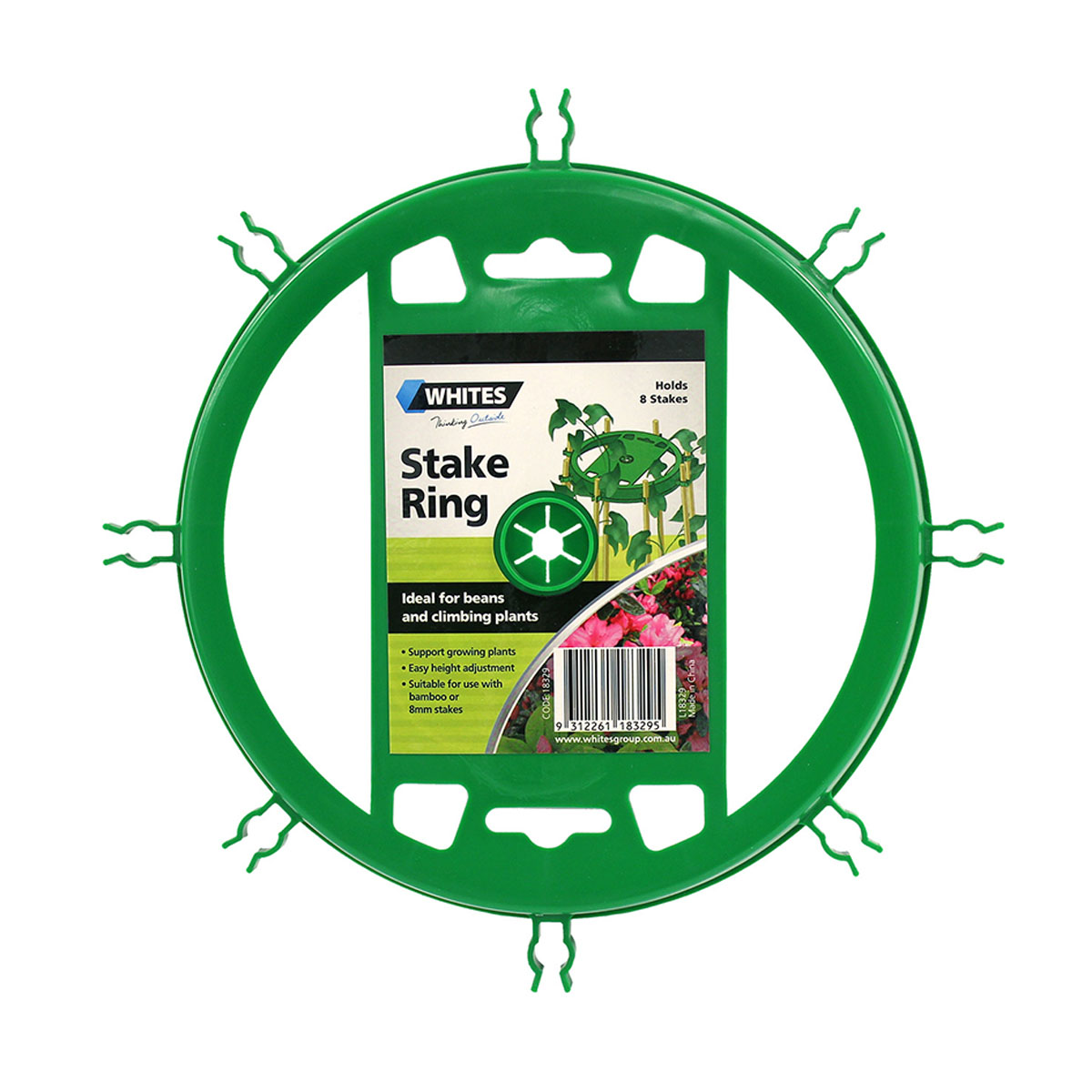 Cages & Frames: Stake Ring